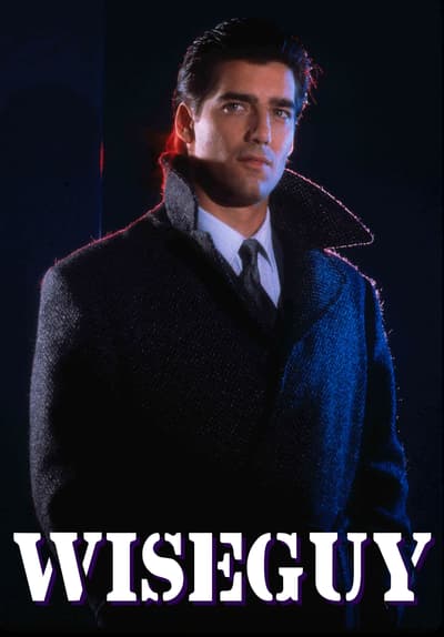 Watch Wiseguy - Free TV Series Full Seasons Online | Tubi
